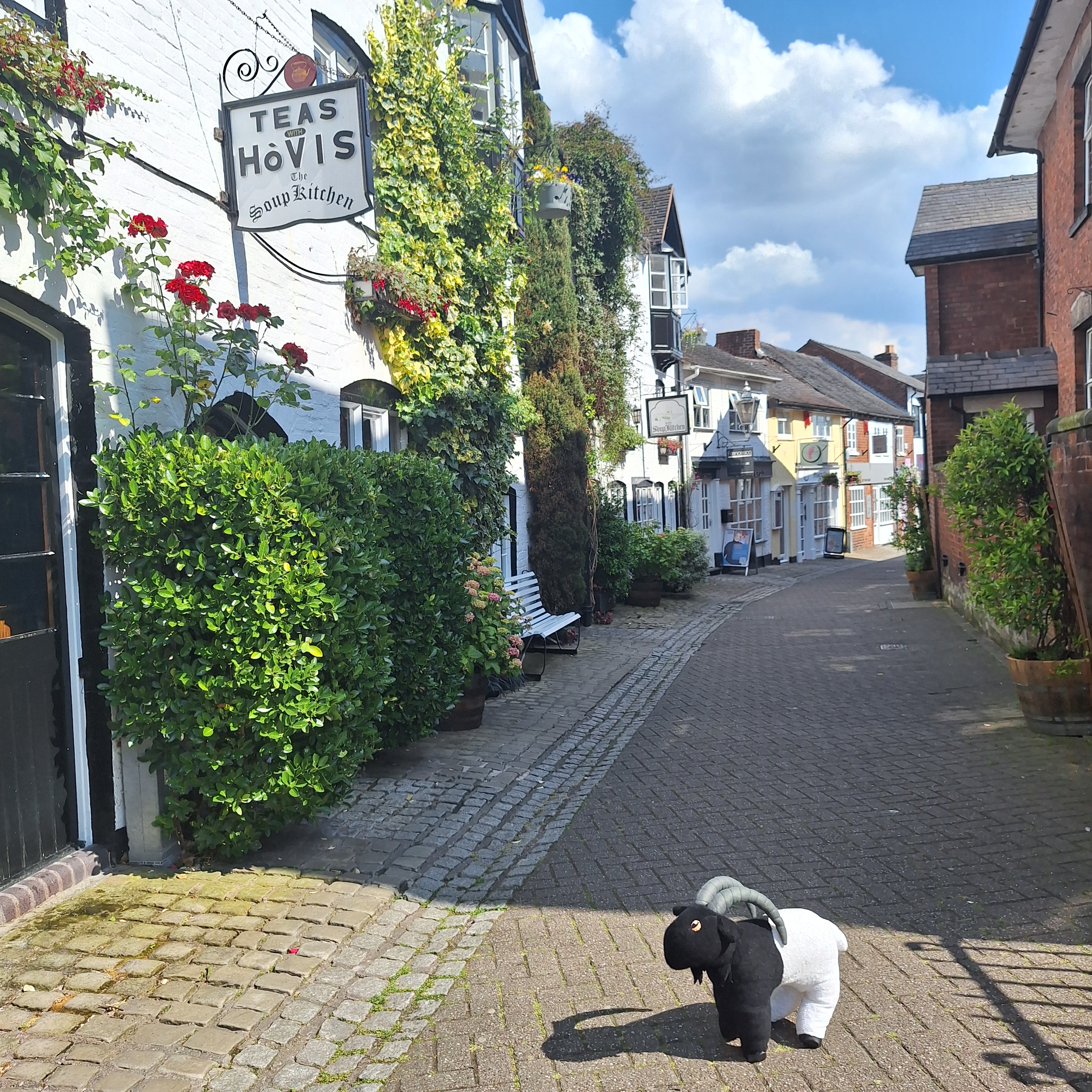 Oatcake! – Staffordshire History Centre